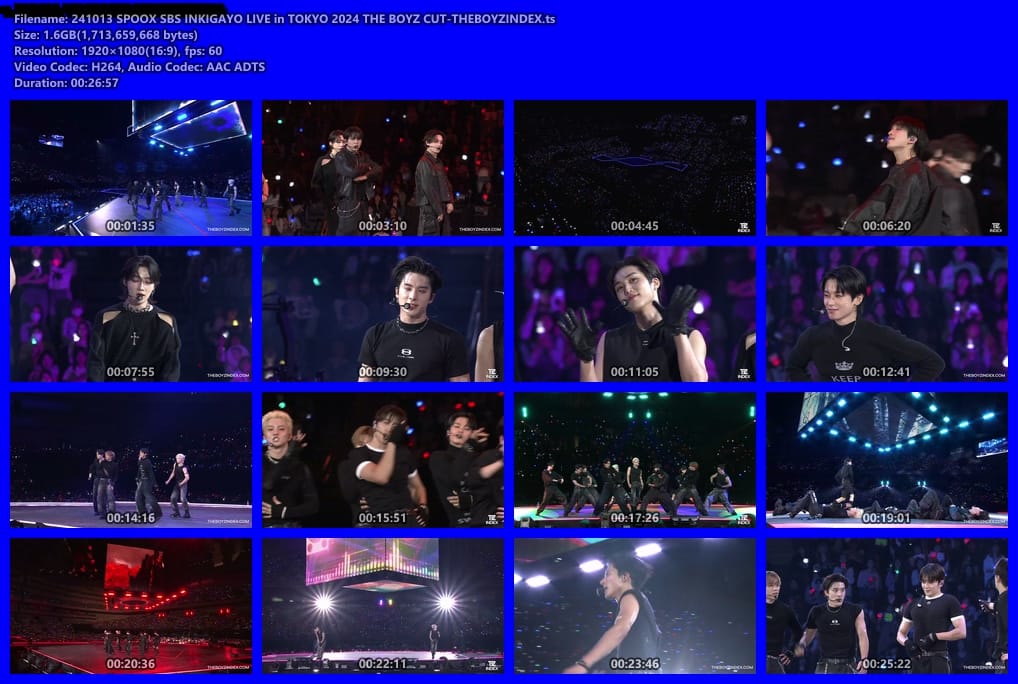 THE BOYZ INDEX - HQ/RAW