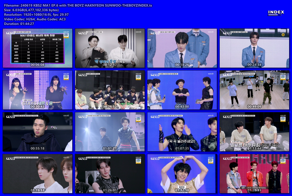 THE BOYZ INDEX - HQ/RAW